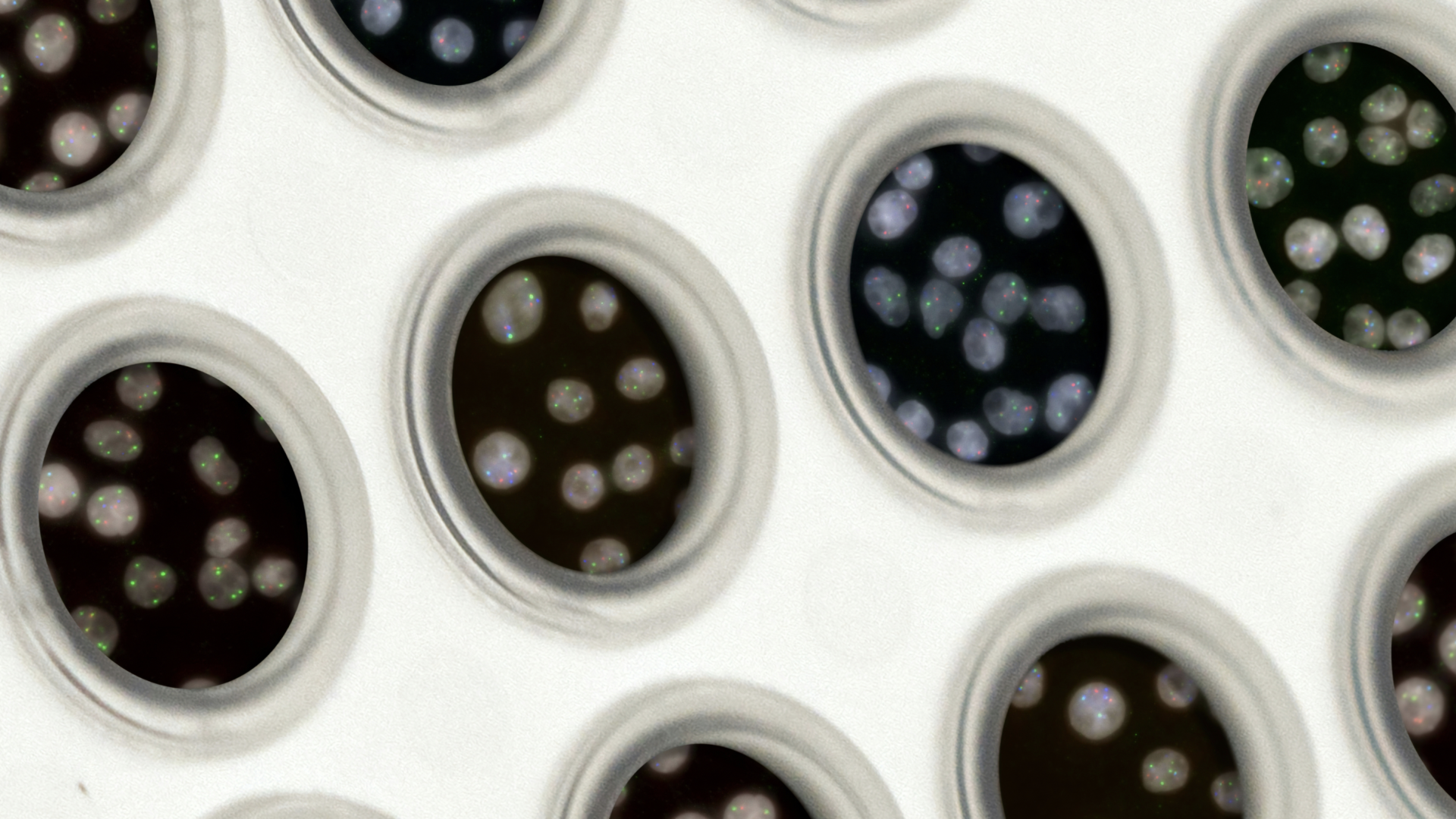 A ‘Manifesto for rare diseases’ - Genetic Alliance